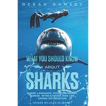 What You Really Need To Know About Sharks And Their Behavior The Five