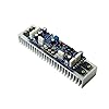 L12-2 Mono-Channel Power Audio Amplifier Finished Board with Radiator ...