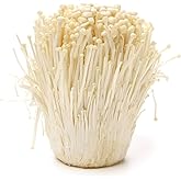 Amazon.com : 100 Lion's Mane Mushroom Spawn Plugs/Dowels to Inoculate ...