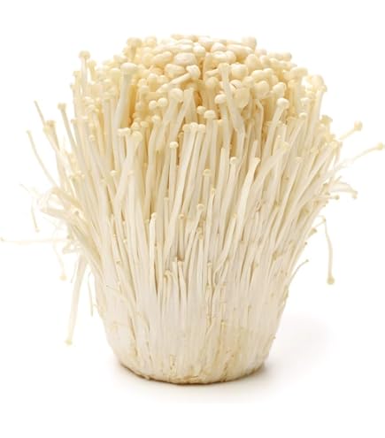 Enoki Mushrooms Grow Kit