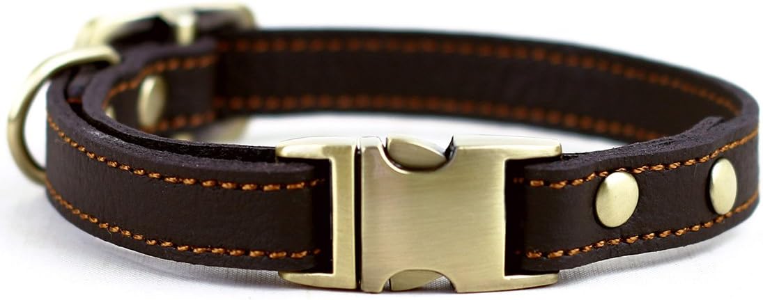 Top 10 Best Leather Dog Collars You Can Rely On