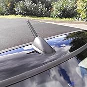 MINI Dachantenne Sport 65202296772: Amazon.de: Auto