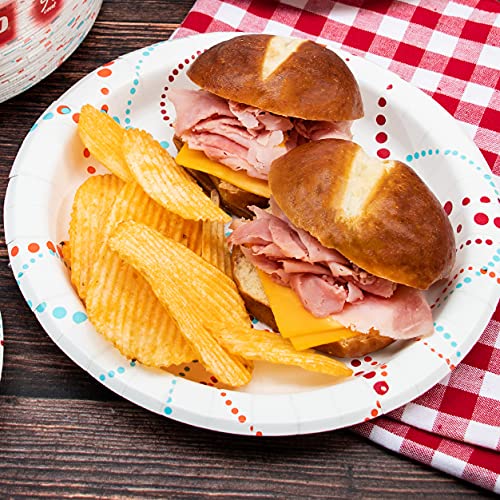 Solo Any Day Paper Plates, 8.5 Inch, Multicolor, 360 Count (Pack of 1 ...