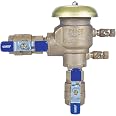 Febco 765EBV Backflow Preventer Pressure Vacuum Breaker with Quarter ...