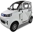 Amazon.com: Enclosed Mobility Scooter for Seniors, All-Weather 4 Wheel ...