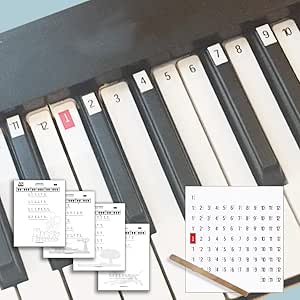 Amazon.com: NUMBERED Piano Keyboard Stickers By Numbered Notes for ...