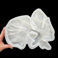 Amazon.com: Generic Huge Betta Fish Silicone Mold, White