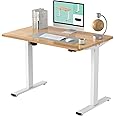 Amazon.com: FLEXISPOT EC1 Electric Adjustable Height Standing Desk Whole Piece 48 x 30 Inch ...