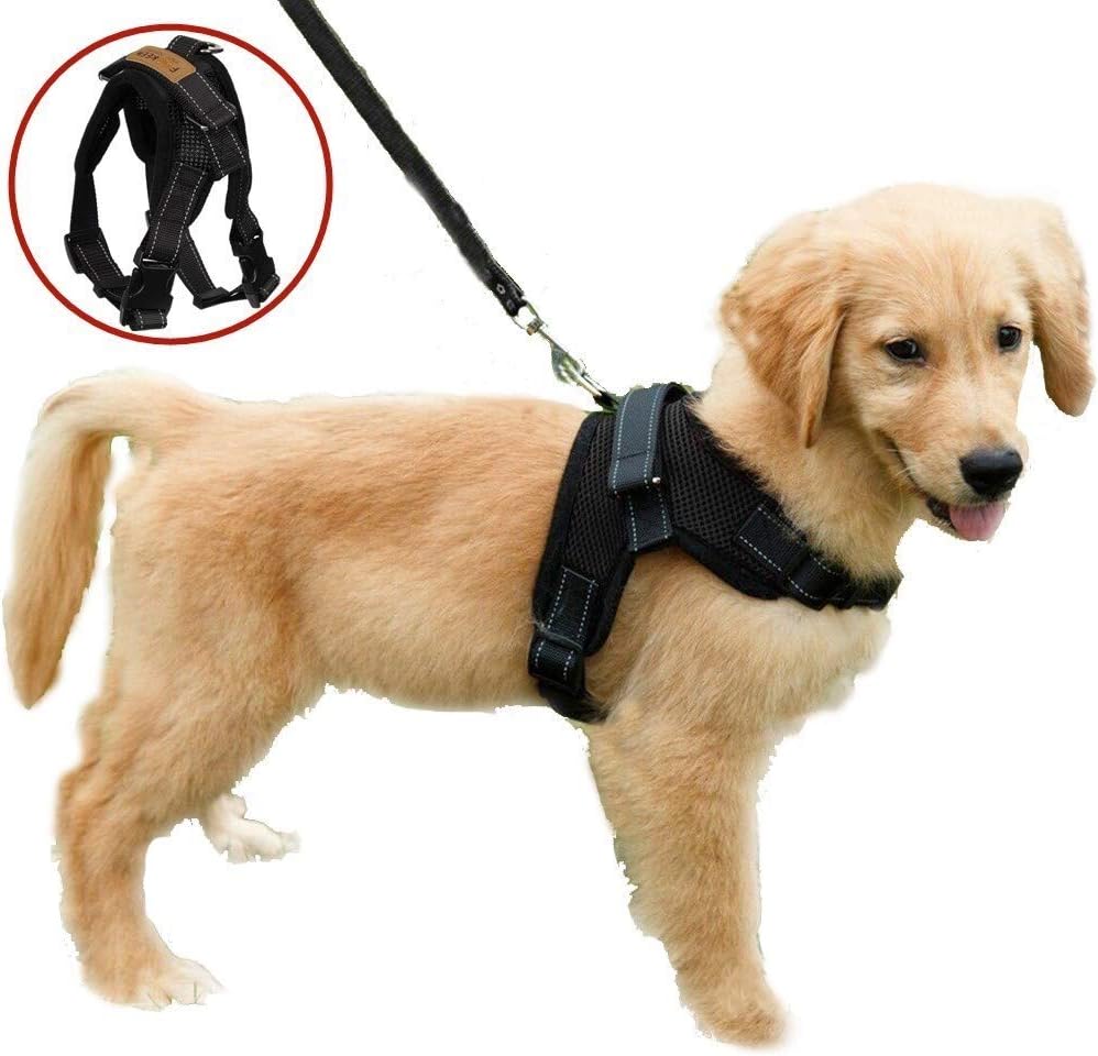 Funkeen Comfort Soft Breathable Adjustable Mesh Pet Chest Strap Large ...