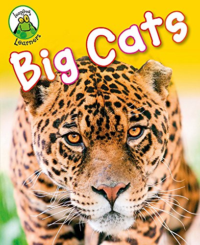 Big Cats (Leapfrog Learners): Annabelle Lynch: 9781445103303: Amazon ...