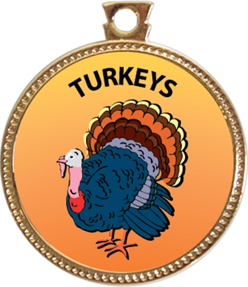 Amazon.com: Keepsake Awards Turkeys Award, 1 inch Dia Gold Medal Farm ...