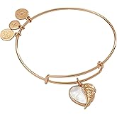 Amazon.com: Alex and Ani Replenishment 19 Women's Art Infusion, Just A Phase Charm Bangle, Shiny ...