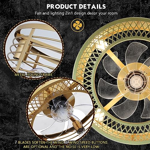 Gold Caged Ceiling Fans with Lights and Remote Control 6-Speed ...