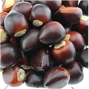 Amazon.com: Gresorth 50 PCS Artificial Chestnut Fake Nuts Lifelike ...