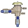 Febco 765EBV Backflow Preventer Pressure Vacuum Breaker with Quarter ...