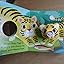 Baby Tiger: Finger Puppet Book (Finger Puppet Books): Chronicle Books ...