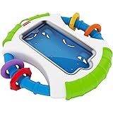 Amazon.com: Fisher-Price Laugh and Learn Apptivity Monkey: Toys & Games