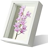 Amazon.com: 4x6 Small Shadow Box Frame Display Case with Real Glass for ...