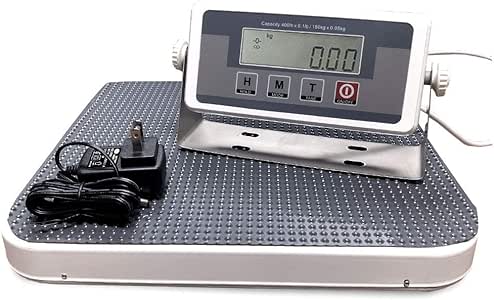 Amazon.com : ANGEL USA Medical High Precision Physician Digital Scale ...