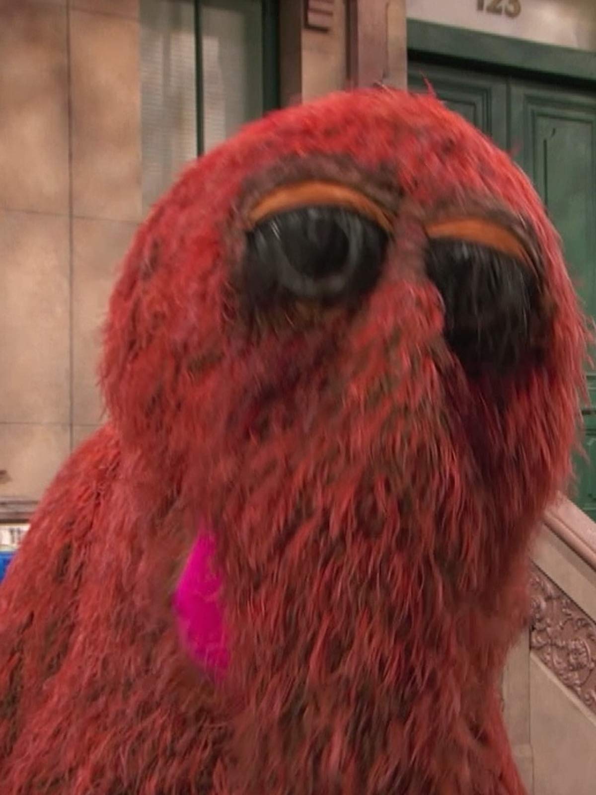 Amazon.com: Sesame Street 50th Anniversary Memories: Snuffy ...