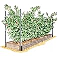 Amazon.com: Gardener's Supply Company - Raised Garden Bed, Raspberry ...