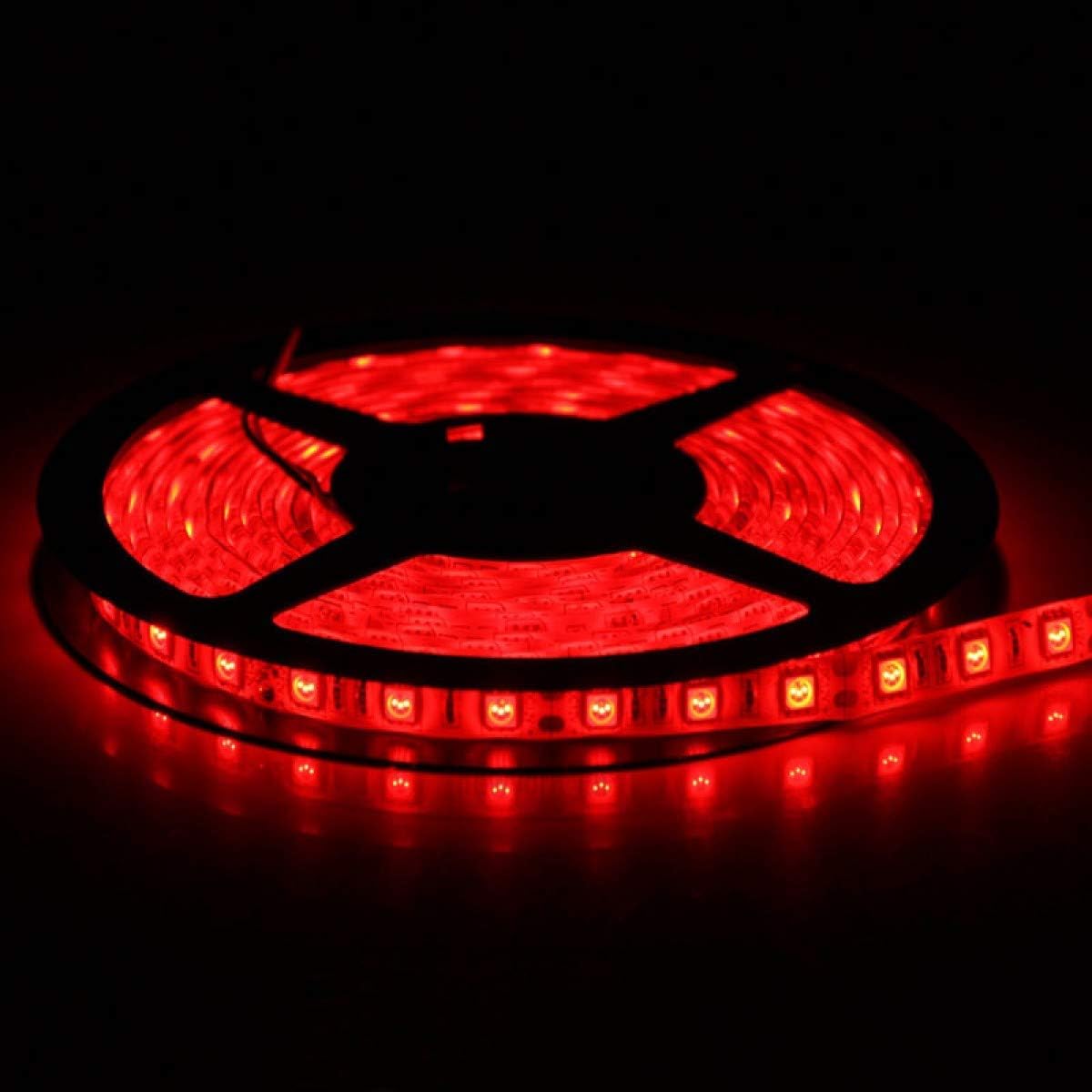 iNextStation Red LED Strip Light, 16ft/5M SMD5050 300 LEDs DC12V ...