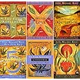 Toltec Wisdom Series, 6-Book Set: Don Miguel Ruiz, Janet Mills: Amazon ...