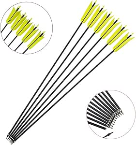 Amazon.com : ZSHJG 30 Inch Flu Flu Arrows Hunting Carbon Arrows Target ...