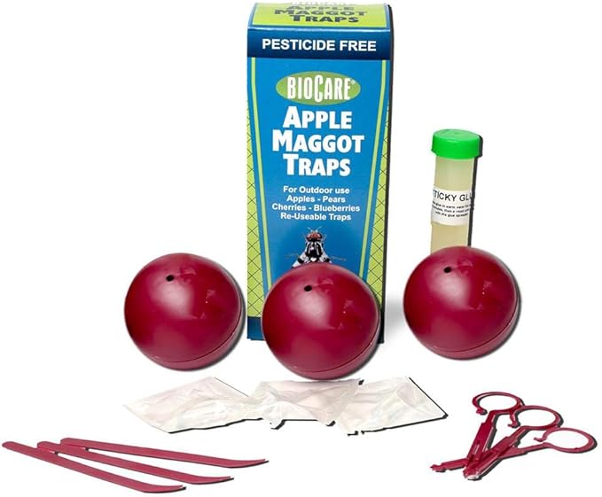 Springstar Apple Maggot Trap With 3 Lures S510: Amazon.co.uk: Kitchen ...