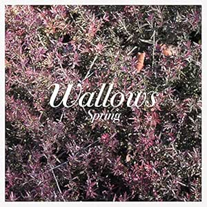 Wallows - Spring EP - Amazon.com Music