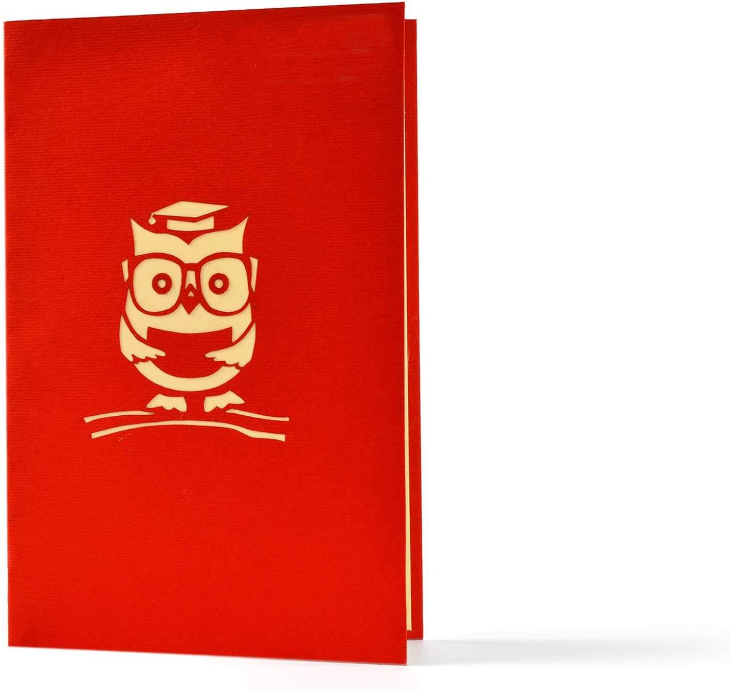 Cool and Unique 3D Pop Up Congratulations Card on Passing the Exams I ...