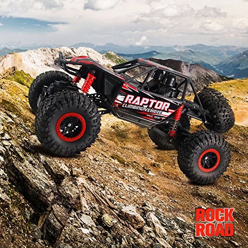 Theefun 1:12 4WD High Speed RC Crawler with Lights 2.4Ghz Off-Road ...
