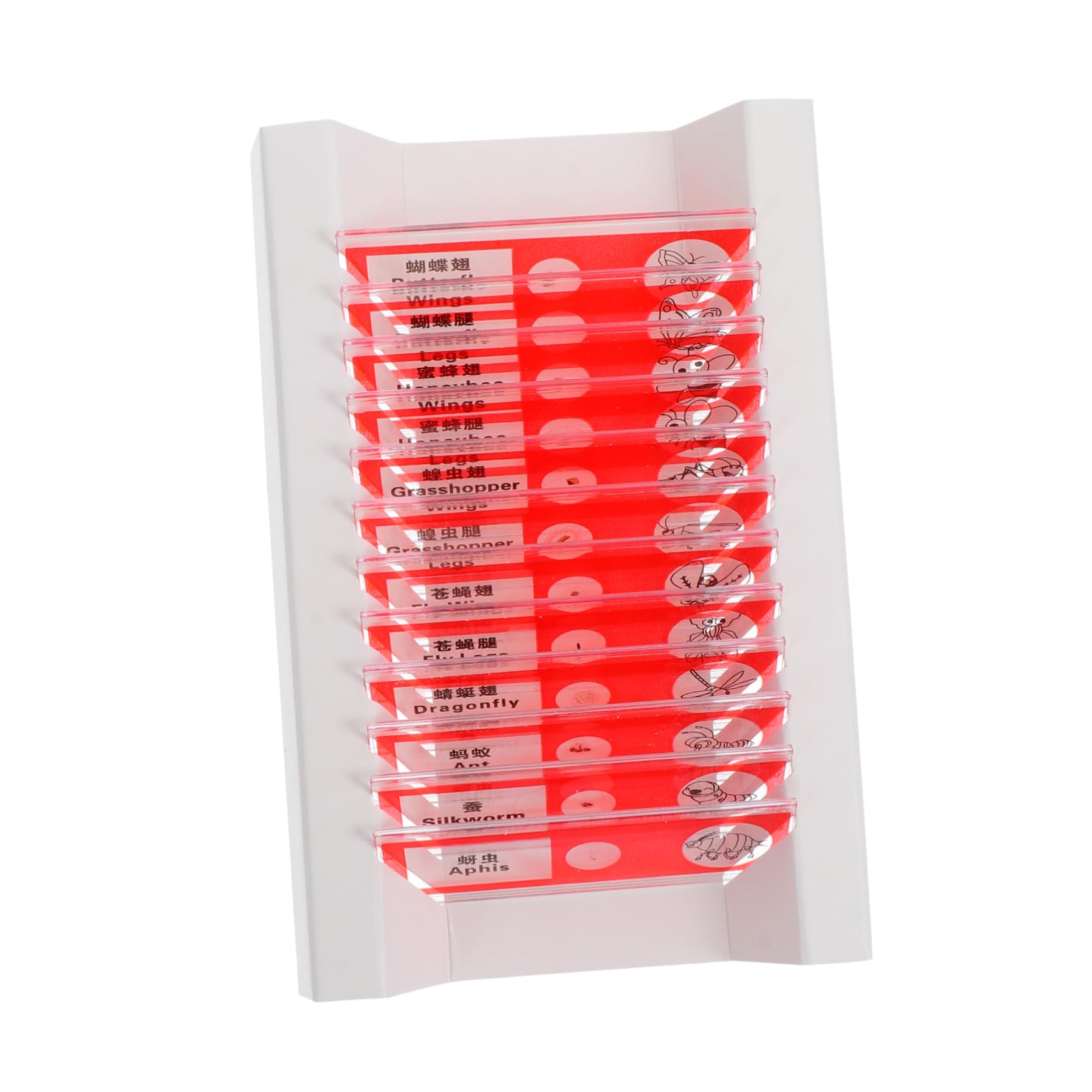 Mua SOLUSTRE 1 Box Specimen Section Specimen Slides Sample Biological ...