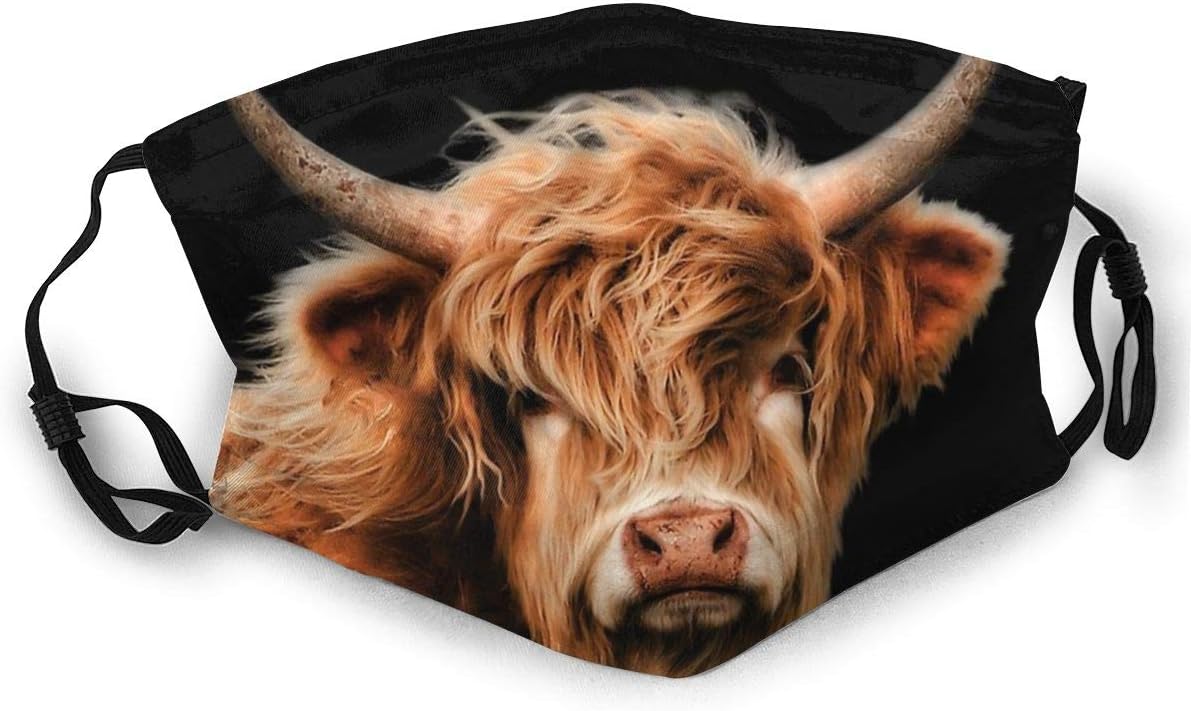 NA BwwoBing Face Mask Highland Cow In Colour Print Ski Mask Hat Neck ...