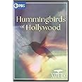 Amazon.com: NATURE: Hummingbirds of Hollywood DVD : Terry Masear, Sally ...