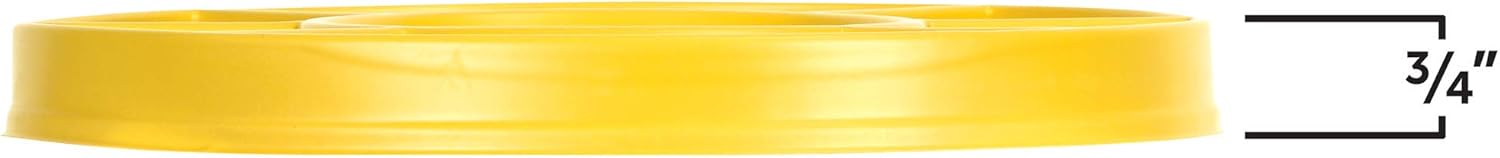 Learning Resources Circular Sorting Tray – BigaMart