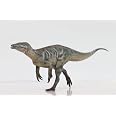 Amazon.com: WLNTDOLA 1:35 Scale Megaraptor Model Carnivorous Dinosaurs ...