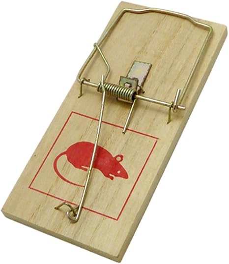 Traditional Wooden Rat / Mouse Trap (1 Rat Trap): Amazon.co.uk: Kitchen ...