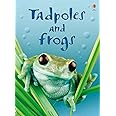 Amazon.com: Tadpoles and Frogs (Beginners Nature, Level 1 ...