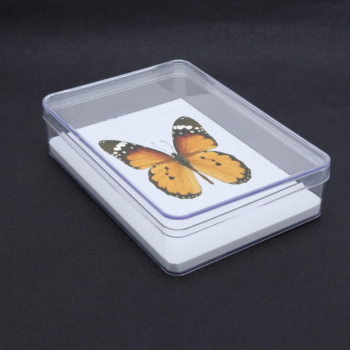 Balacoo Insect Specimen Box Clear Display Box Mini Plastic Storage Box ...