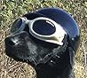 Amazon.com : Doggles Originalz Medium Frame Goggles for Dogs with Smoke ...