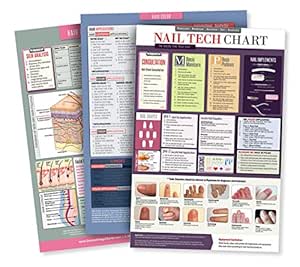 Amazon.com : Educational Cosmetology Poster Bundle Pack For Students ...