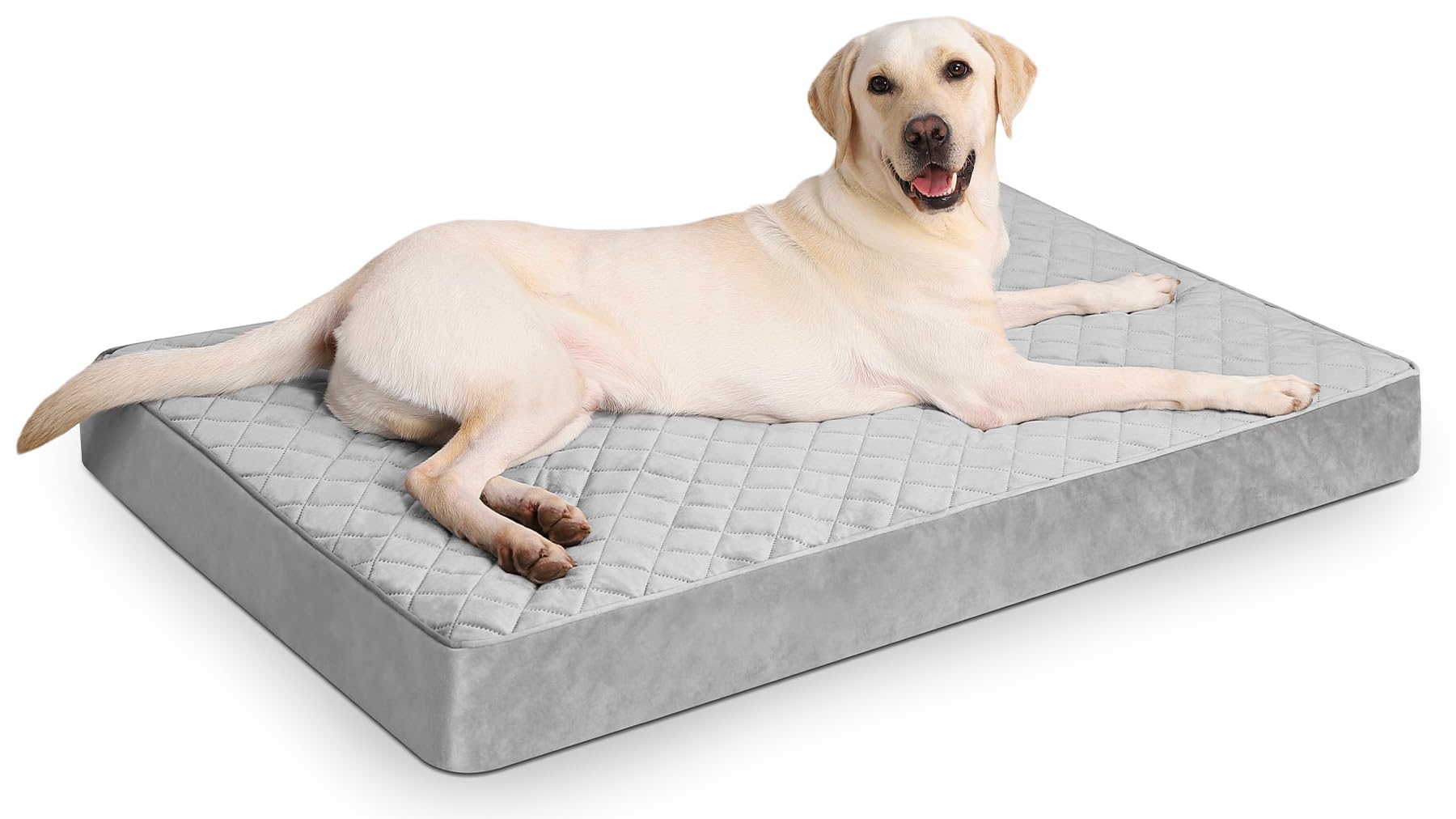 NUPIDA Orthopedic Dog Beds for Extra Large Dogs Waterproof with ...