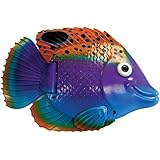 Amazon.com: Swimways Rainbow Reef Fish - Orange/White: Toys & Games