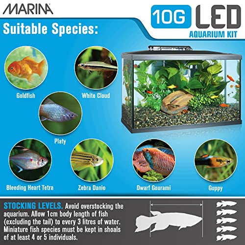 Marina LED Aquarium Kit, 10 gallon | Pricepulse