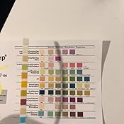 Gesundheitstest für 10 Indikatoren - 100 Urin Teststreifen mit ...