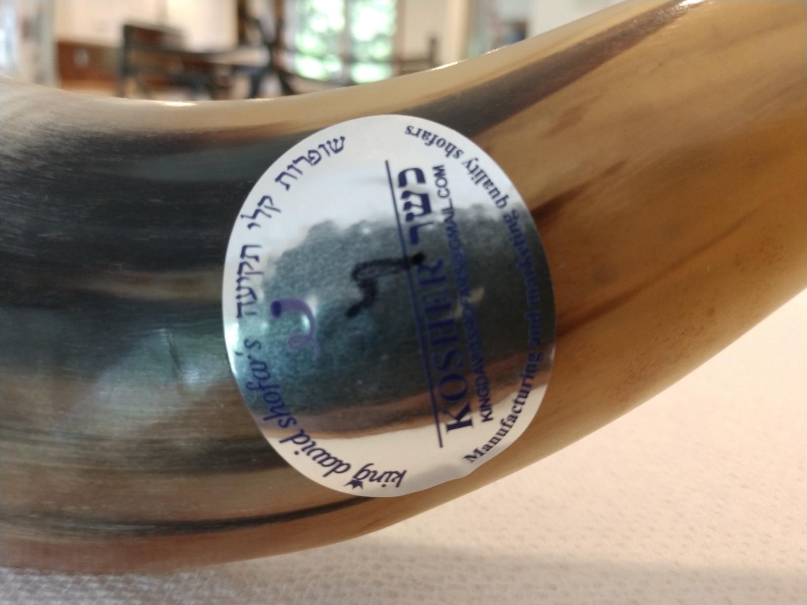 $9/mo - Finance Shofar Horn Instrument – RAM Shofar Angels Musical ...