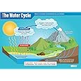 Amazon.com : Daydream Education The Water Cycle Science Classroom ...