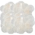 Amazon.com: KFZDCG 120 Pcs Round Capiz Shells, 2 Inches Round Natural ...