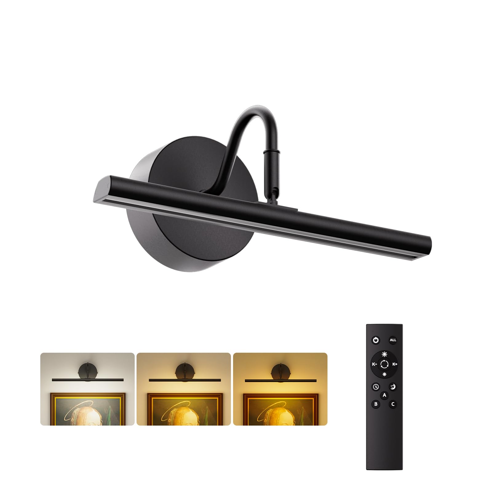 Denlead Picture Lights for Wall, 12" LED Wall Lights with Remote ...